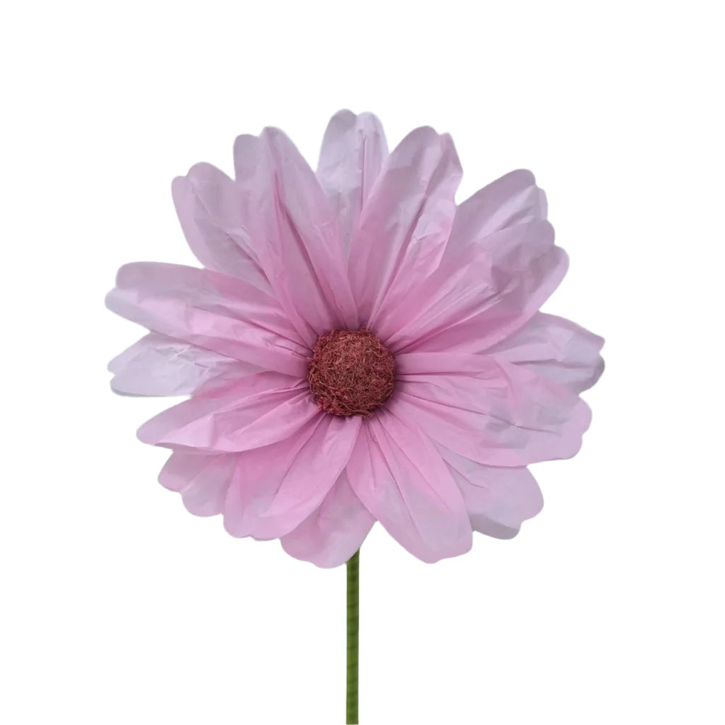 Giant Cosmos Spray, 5' (Light Pink) – Christmas In America