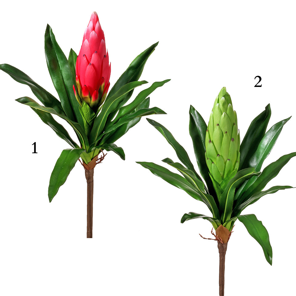 Citrus Bromeliad Plant 16" – Christmas In America