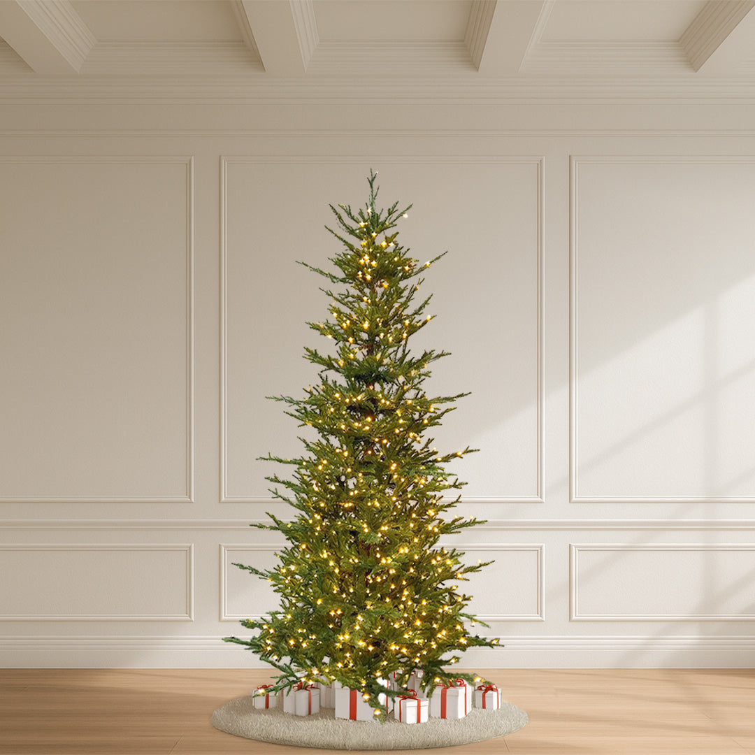 Vail Spruce Tree, LED Lit, 9.5', Slim – Christmas In America