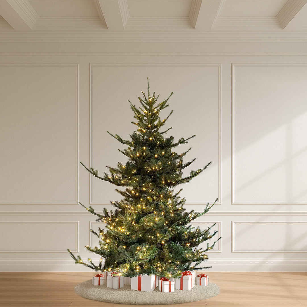 Teton Pine Tree, LED Lit, 9.5' – Christmas In America